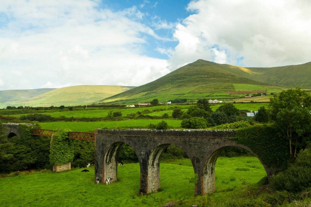 Irish Blessing Wallpaper - Quill&Glass